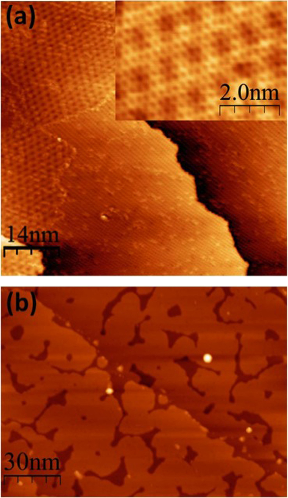 Growth from behind: Intercalation-growth of two-dimensional FeO moiré structure underneath of ...