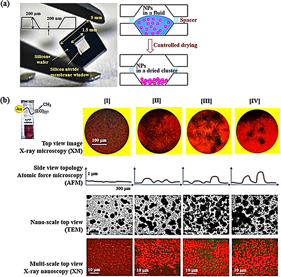 Dehydration-mediated cluster formation of nanoparticles.,Scientific Reports - X-MOL