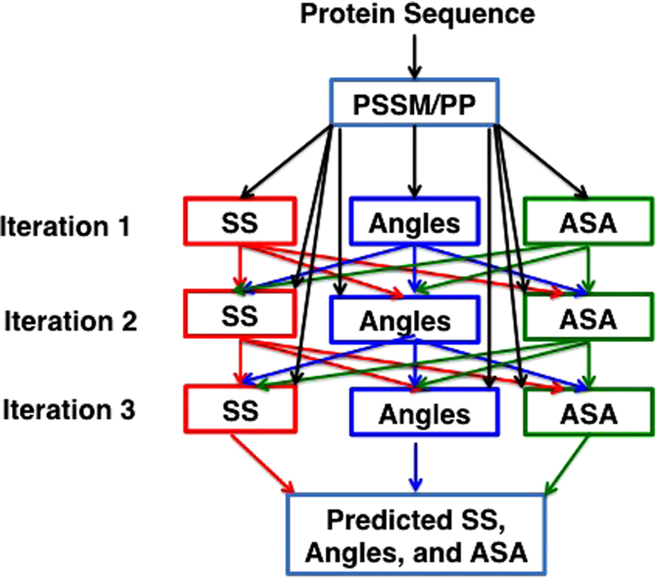 Improving prediction of secondary structure, local backbone angles, and ...