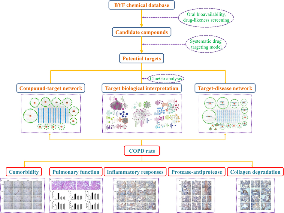 Systems pharmacology-based dissection of mechanisms of Chinese ...