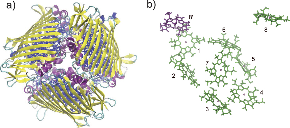 Hybrid QM/MM study of FMO complex with polarized protein-specific ...