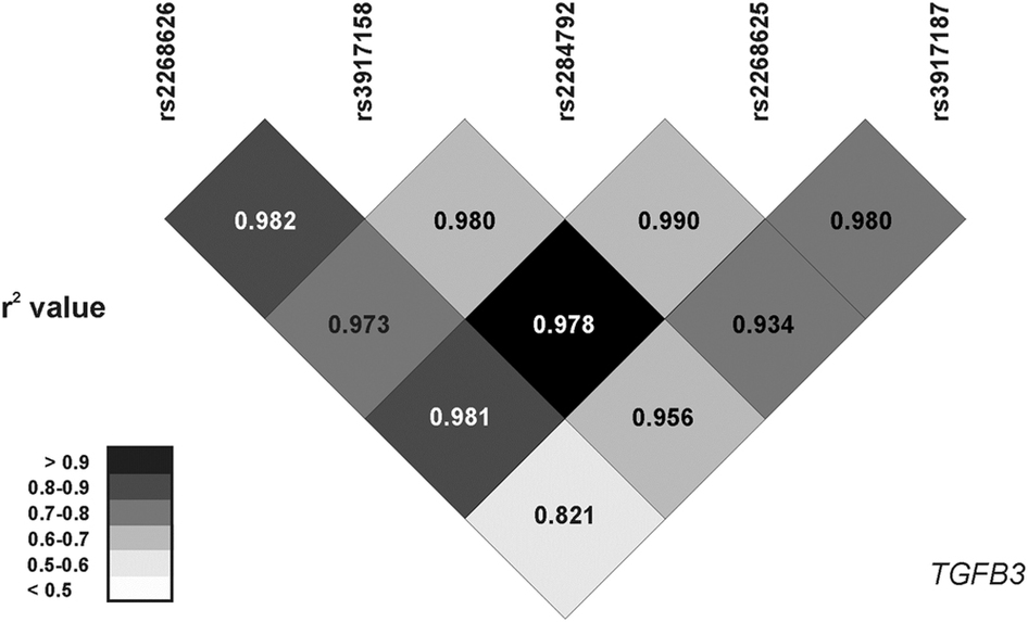 TGFβ3（TGFB3）多态性与男性不育有关。,Scientific Reports - X-MOL