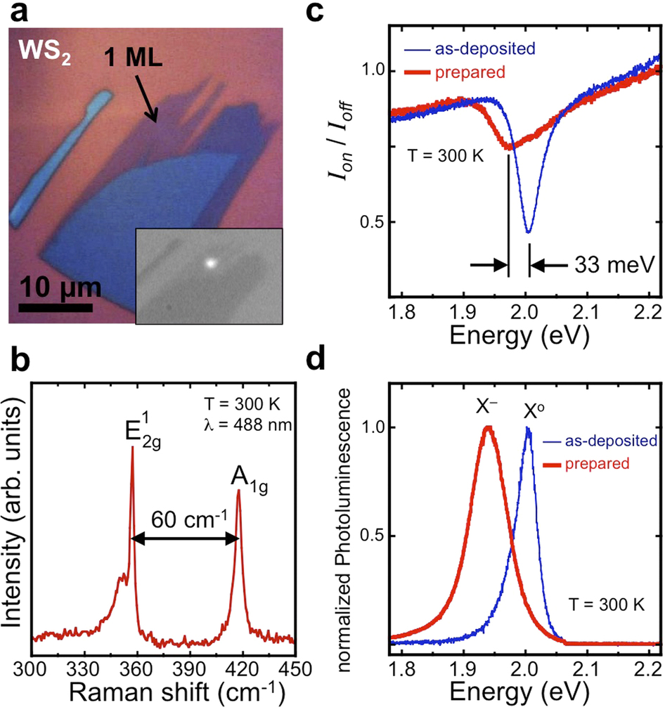 Anomalous temperature-dependent spin-valley polarization in monolayer ...