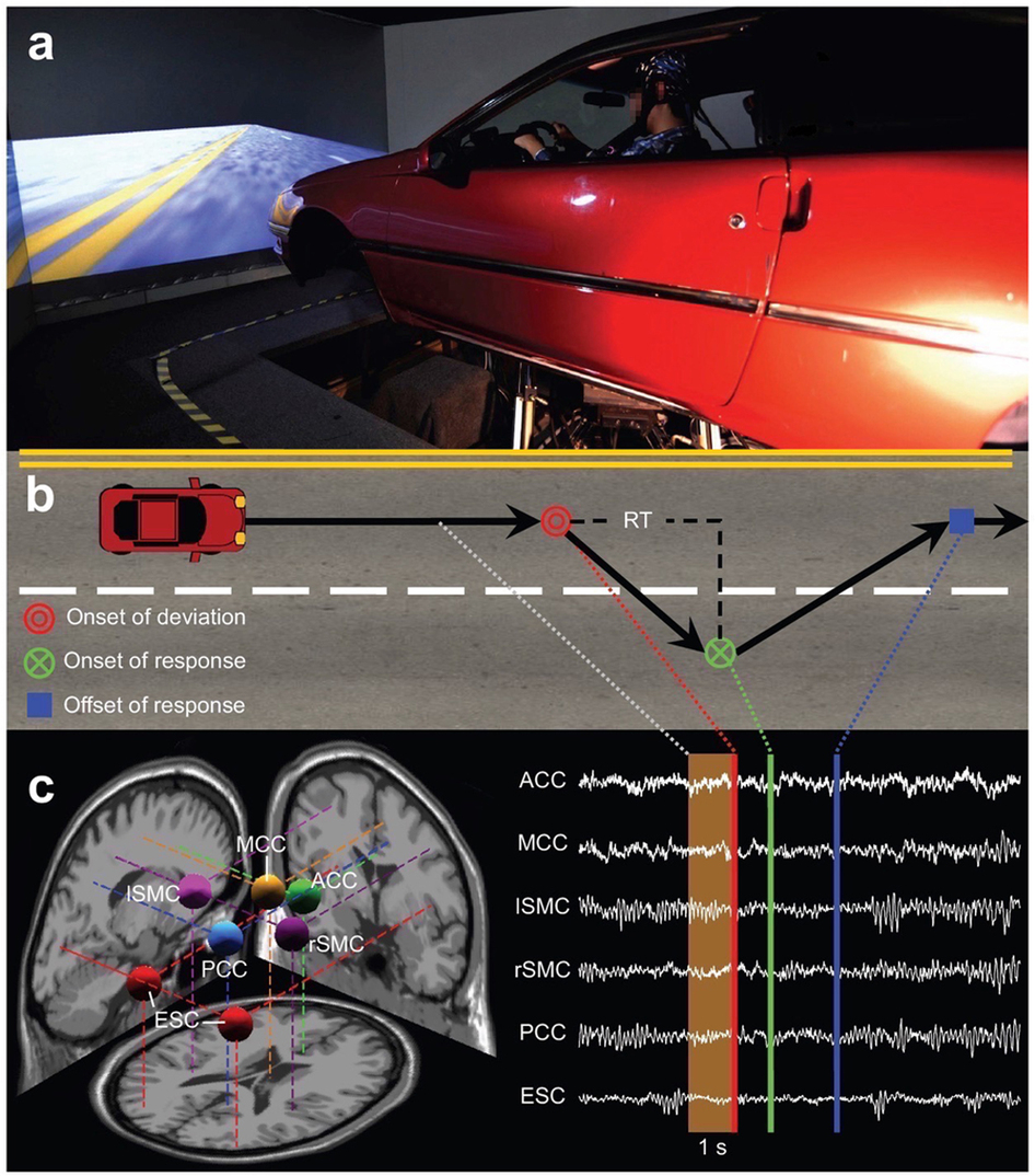 Mind-Wandering Tends to Occur under Low Perceptual Demands during ...