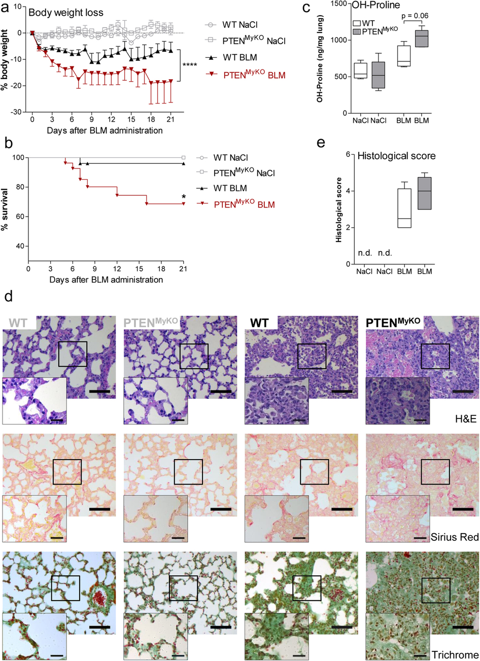 持续的 PI3K 激活通过激活促炎和促纤维化途径加剧 BLM 诱导的肺纤维化。,Scientific Reports - X-MOL