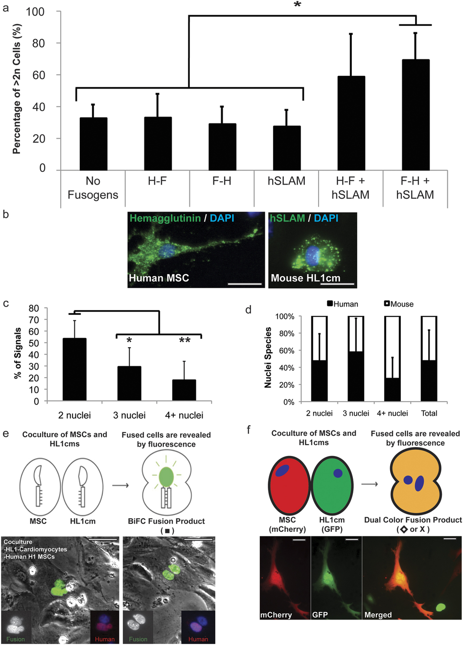 Single-cell RNA-seq reveals activation of unique gene groups as a consequence of stem cell ...
