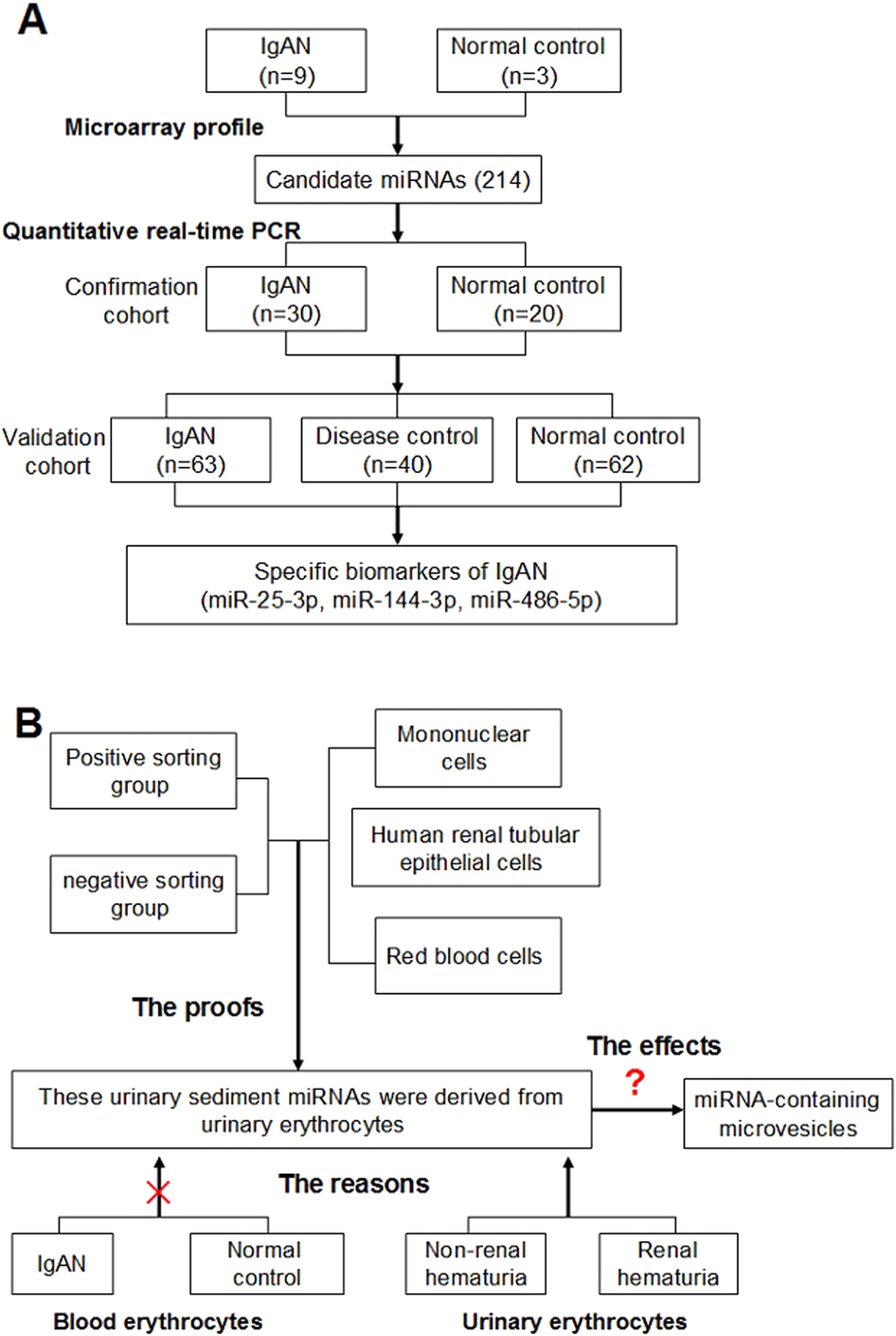 选择尿沉渣miRNA作为IgA肾病的特异性生物标志物。,Scientific Reports - X-MOL