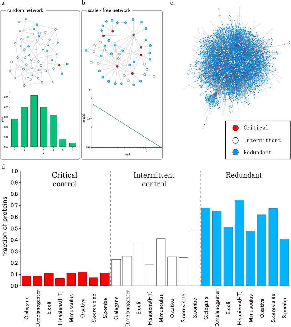 Critical controllability in proteome-wide protein interaction network integrating transcriptome ...