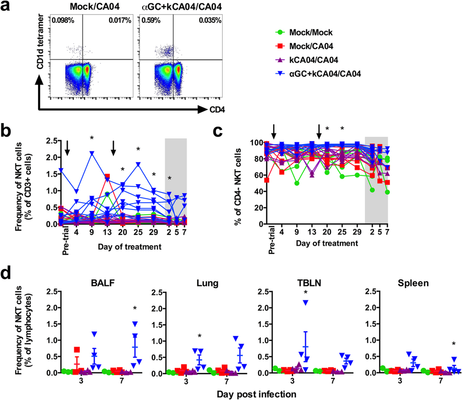 α-Galactosylceramide protects swine against influenza infection when administered as a vaccine ...