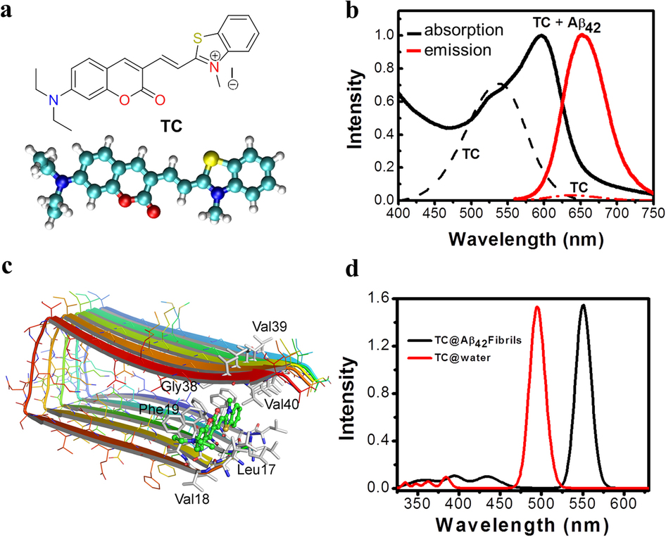 A High Affinity Red Fluorescence and Colorimetric Probe for Amyloid β ...