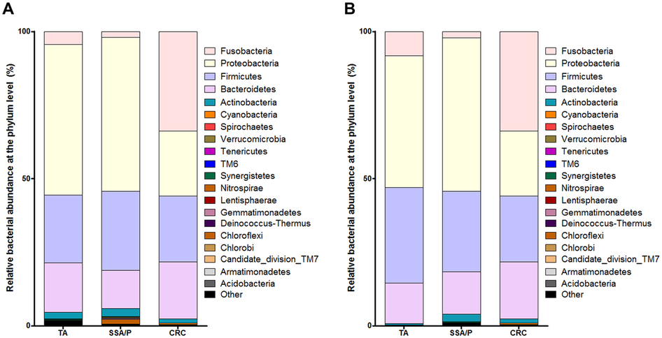 Role of Fusobacteria in the serrated pathway of colorectal ...