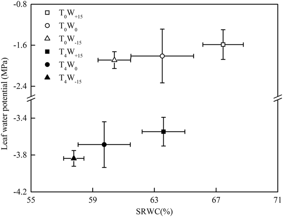 A self-photoprotection mechanism helps Stipa baicalensis adapt to ...