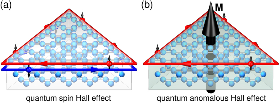 Prospect of quantum anomalous Hall and quantum spin Hall effect in doped kagome lattice Mott ...