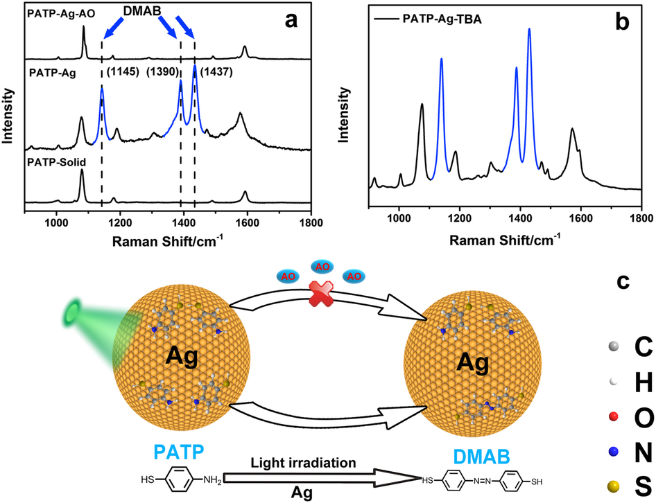 自由基捕获器辅助的表面增强拉曼光谱用于跟踪等离子驱动的氧化还原反应。,Scientific Reports - X-MOL