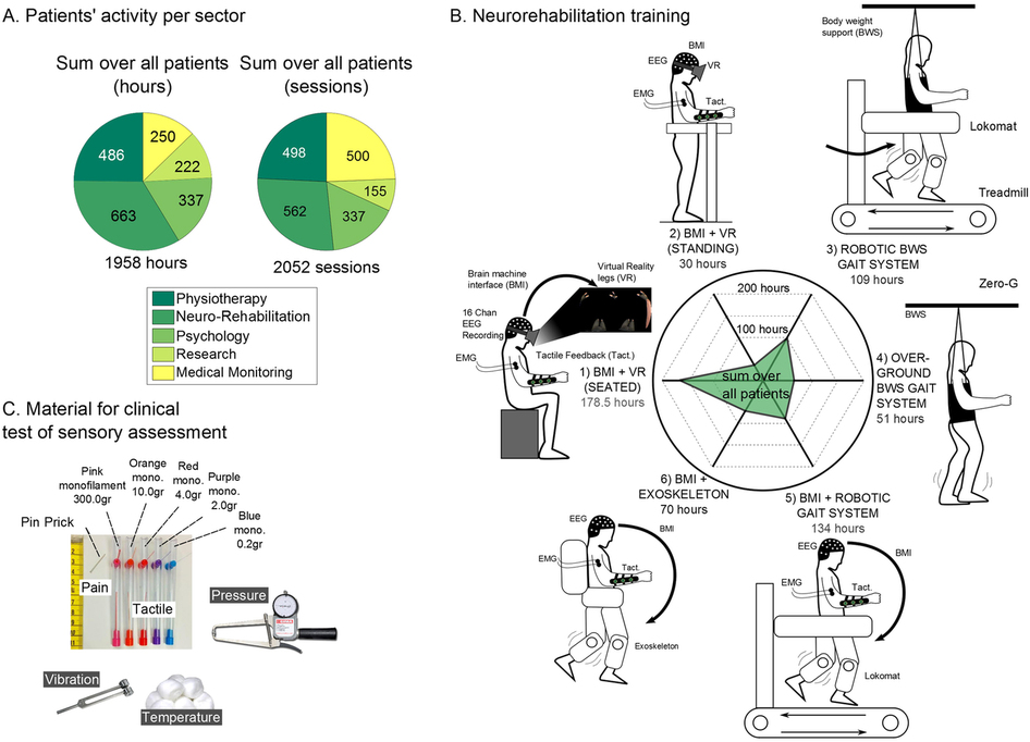 Long-Term Training with a Brain-Machine Interface-Based Gait Protocol ...