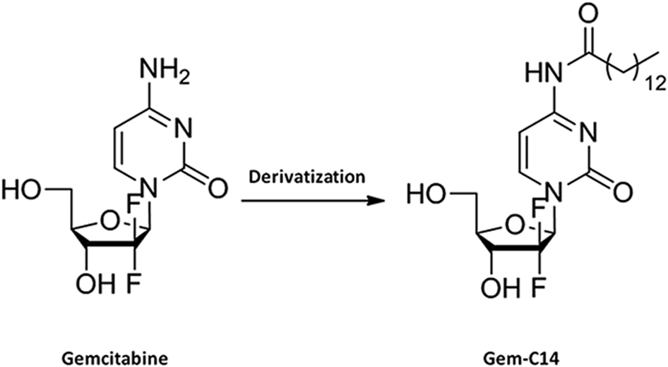 BxPC-3细胞系中cRGD肽缀合的白蛋白纳米颗粒的肿瘤靶向增强。,Scientific Reports - X-MOL