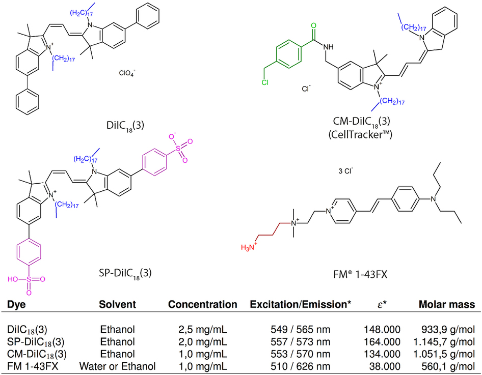 CLARITY兼容的亲脂性染料，用于电极标记和神经元示踪。,Scientific Reports - X-MOL