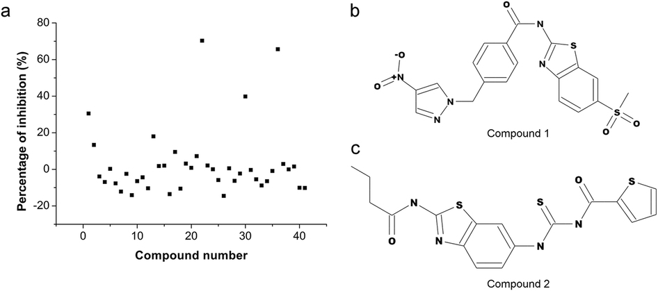 Structure-based discovery of two antiviral inhibitors targeting the NS3 ...