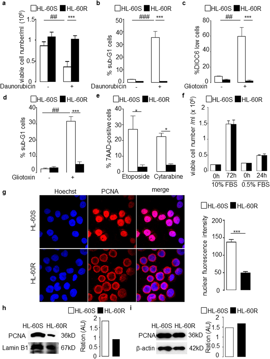 细胞质增殖细胞核抗原连接急性髓细胞白血病中的糖酵解和细胞存活。,Scientific Reports - X-MOL