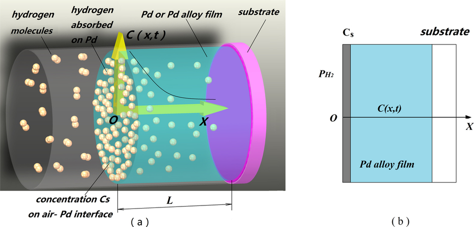 Modeling of hydrogen atom diffusion and response behavior of hydrogen ...