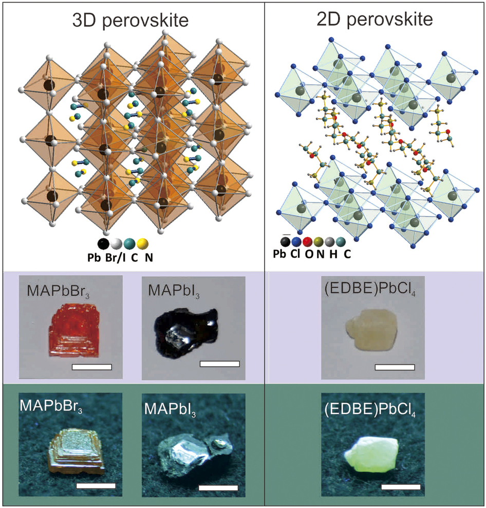 X-ray Scintillation in Lead Halide Perovskite Crystals.,Scientific ...
