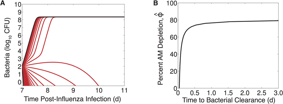 A Critical, Nonlinear Threshold Dictates Bacterial Invasion and Initial ...
