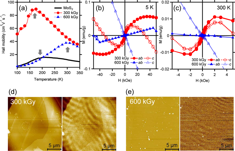 Electron beam-formed ferromagnetic defects on MoS2 surface along 1 T ...