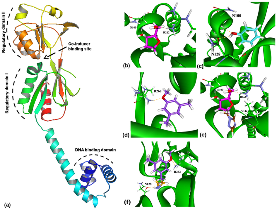利巴韦林通过靶向LysR型转录调节因子来抑制细菌毒力。,Scientific Reports - X-MOL