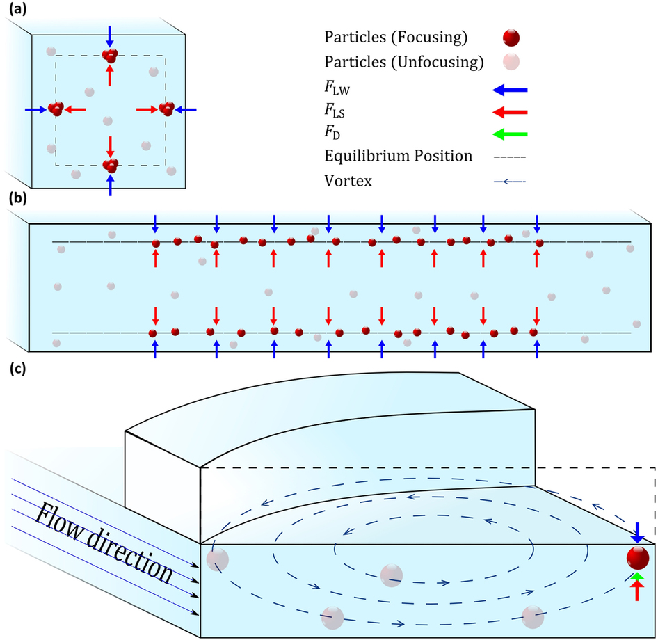 High-throughput sheathless and three-dimensional microparticle focusing ...