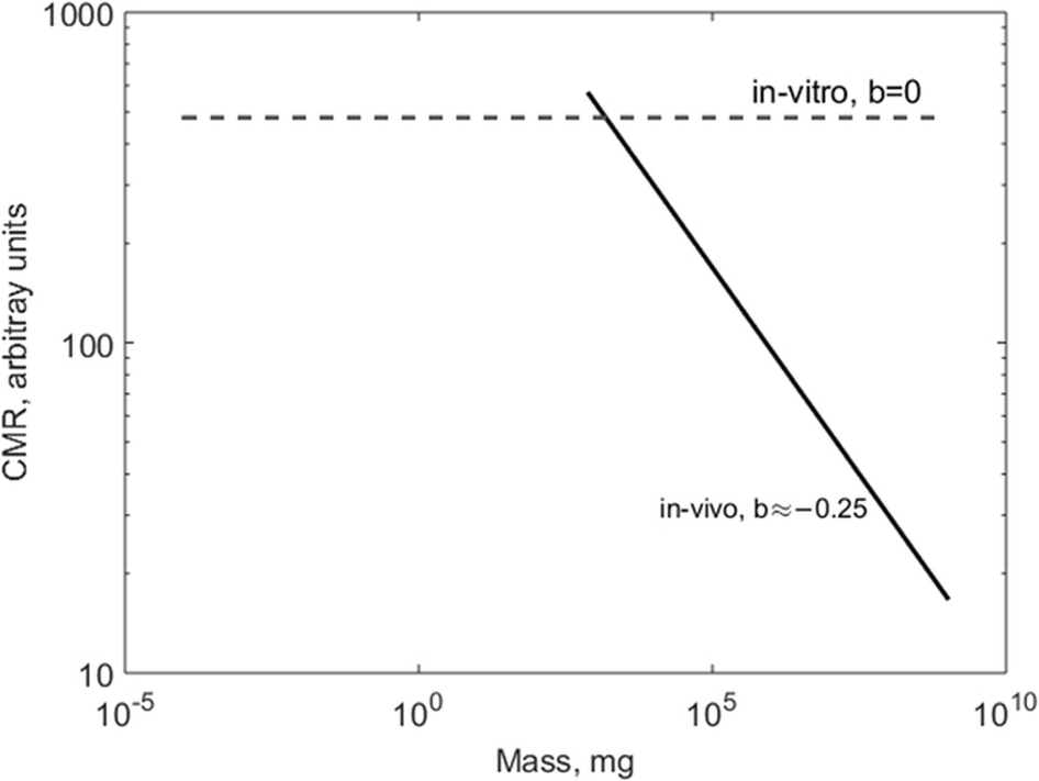 体外异形缩放。,Scientific Reports - X-MOL