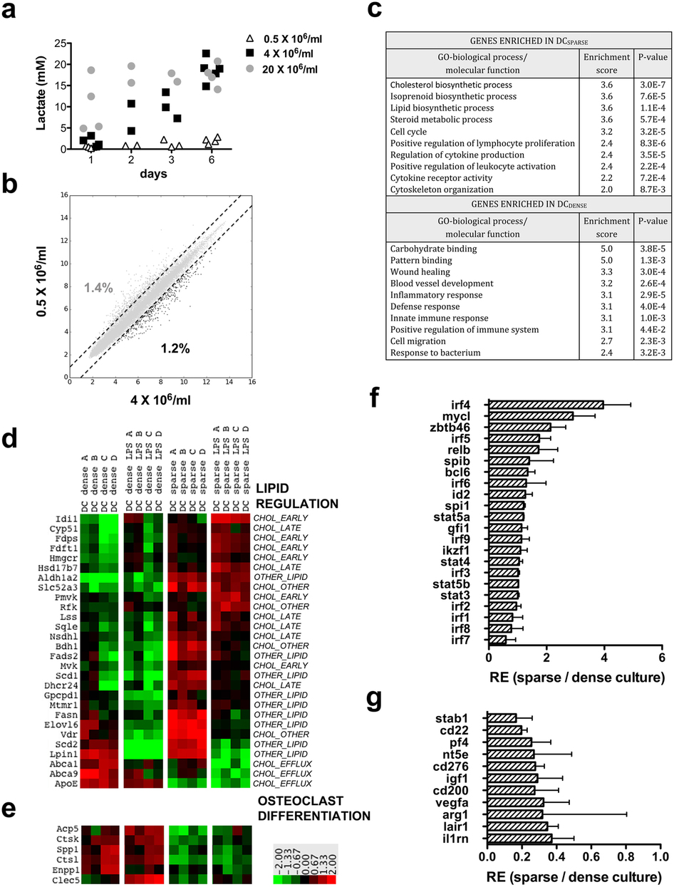 Immunogenicity is preferentially induced in sparse dendritic cell cultures.,Scientific Reports ...