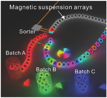 Magnetic Suspension Array Technology: Controlled Synthesis and ...