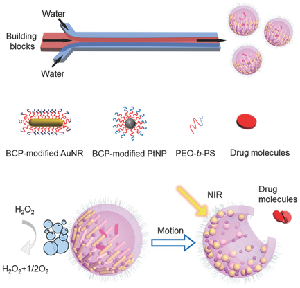混合式Janus式囊泡电动机的连续微流体自组装：自主推进和控释,Small - X-MOL