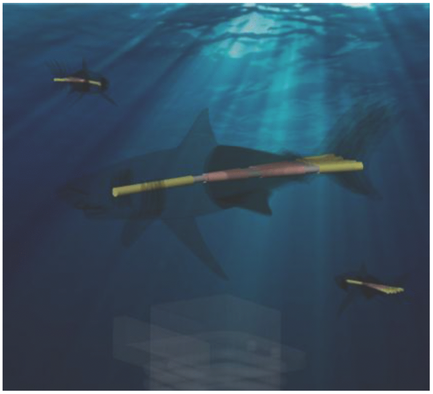 Magnetically Propelled Fish‐Like Nanoswimmers,Small - X-MOL