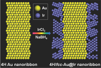 Synthesis of 4H/fcc‐Au@M (M = Ir, Os, IrOs) Core‐Shell Nanoribbons For Electrocatalytic Oxygen ...