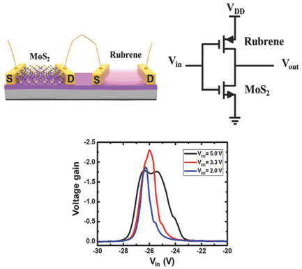 MoS2 / Rubrene van der Waals异质结构：双极性场效应晶体管和逆变器电路,Small - X-MOL