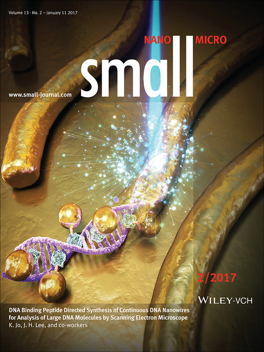 DNA成像：DNA结合肽指导合成的连续DNA纳米线，用于通过扫描电子显微镜分析大型DNA分子（Small 2/2017）,Small - X-MOL