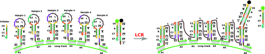 Design and Analysis of Localized DNA Hybridization Chain Reactions ...