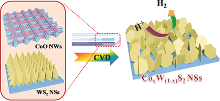 使用Co结合作为CoxW（1-x）S2来工程化二维WS2纳米片的电子结构，以显着增强氢气的产生,Small - X-MOL