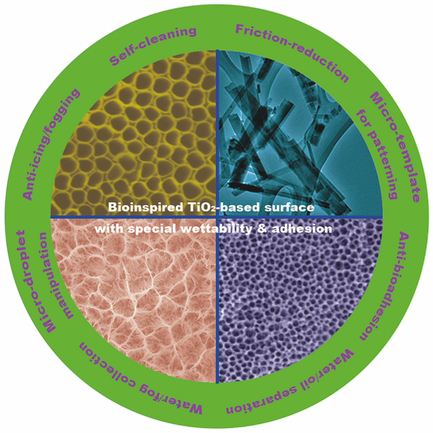 Recent Advances in TiO2‐Based Nanostructured Surfaces with Controllable ...