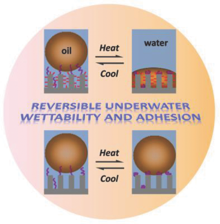 Underwater Thermoresponsive Surface with Switchable Oil‐Wettability ...