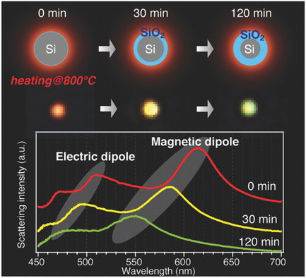 通过热氧化控制Si / SiO2介电核-壳纳米粒子的可见电磁共振,Small - X-MOL