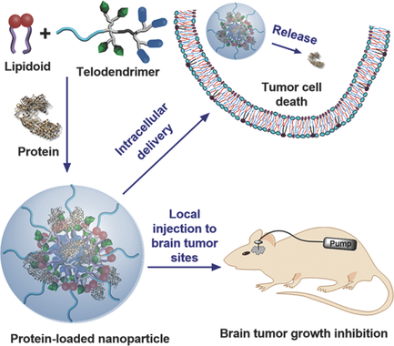 Tunable Lipidoid-Telodendrimer Hybrid Nanoparticles for Intracellular ...