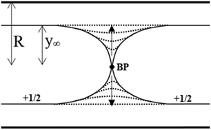 Disclination elastica model of loop collision and growth in confined nematic liquid crystals ...