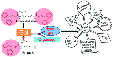 An additional fluorenylmethoxycarbonyl (Fmoc) moiety in di-Fmoc ...