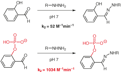 Intramolecular Catalysis of Hydrazone Formation of Aryl-Aldehydes via ...