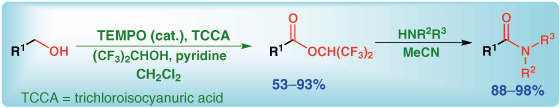 TEMPO-Catalyzed Oxidative Amidation of Alcohols via Hexa ...