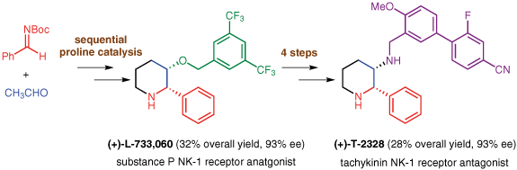 A Concise Enantioselective Synthesis of (+)-L-733,060 and (+)-T-2328 ...