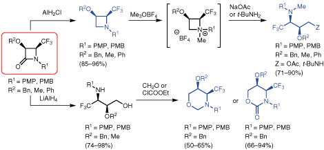 Synthesis of Trifluoromethylated Azetidines, Aminopropanes, 1,3 ...