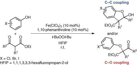 Iron-Catalyzed Oxidative C–C and C–O Coupling of Halophenols to α ...